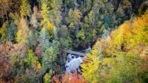 Fall in North Georgia: Stunning Foliage Spots & Festivals