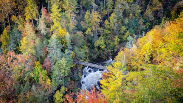 Fall in North Georgia: Stunning Foliage Spots & Festivals