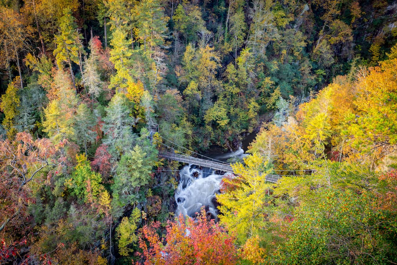 Fall In North Georgia Stunning Foliage Spots Festivals Fall In North Georgia Stunning Foliage Spots Festivals